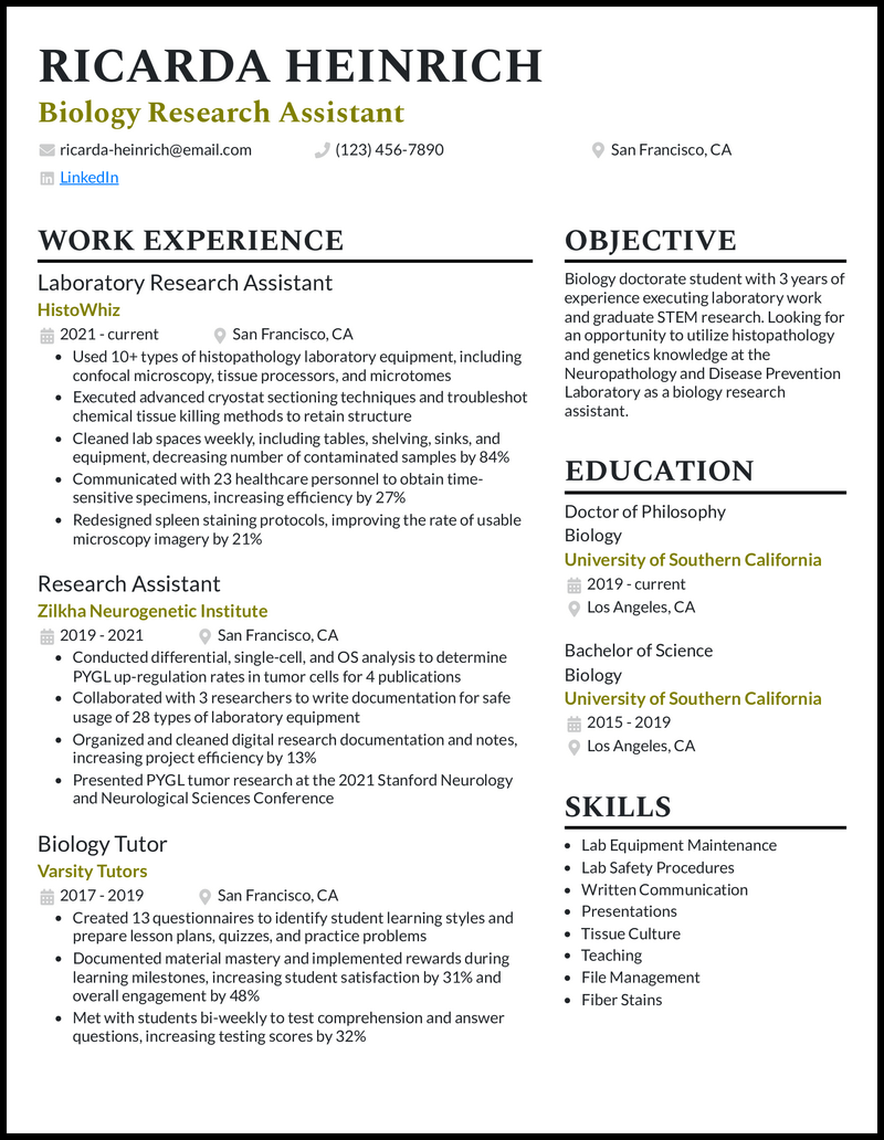 7 Grad School Resume Examples [& Templates]