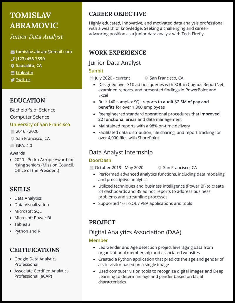 5 Junior Data Analyst Resume Examples for 2024