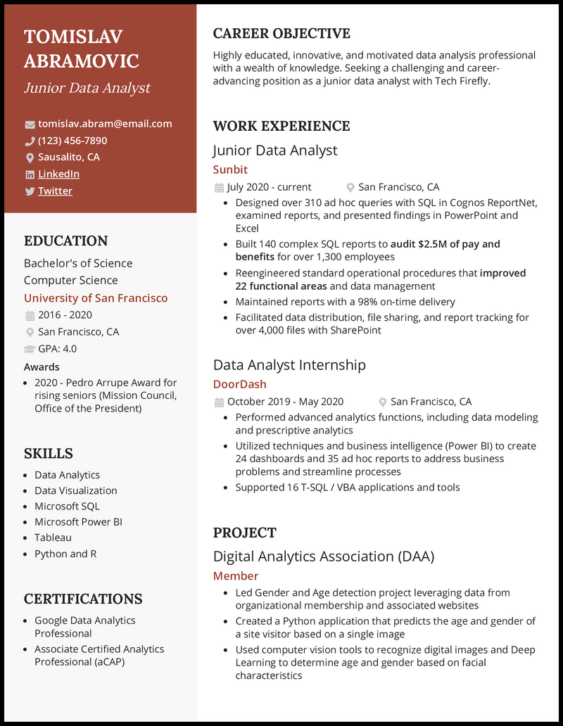 5 Junior Data Analyst Resume Examples for 2024