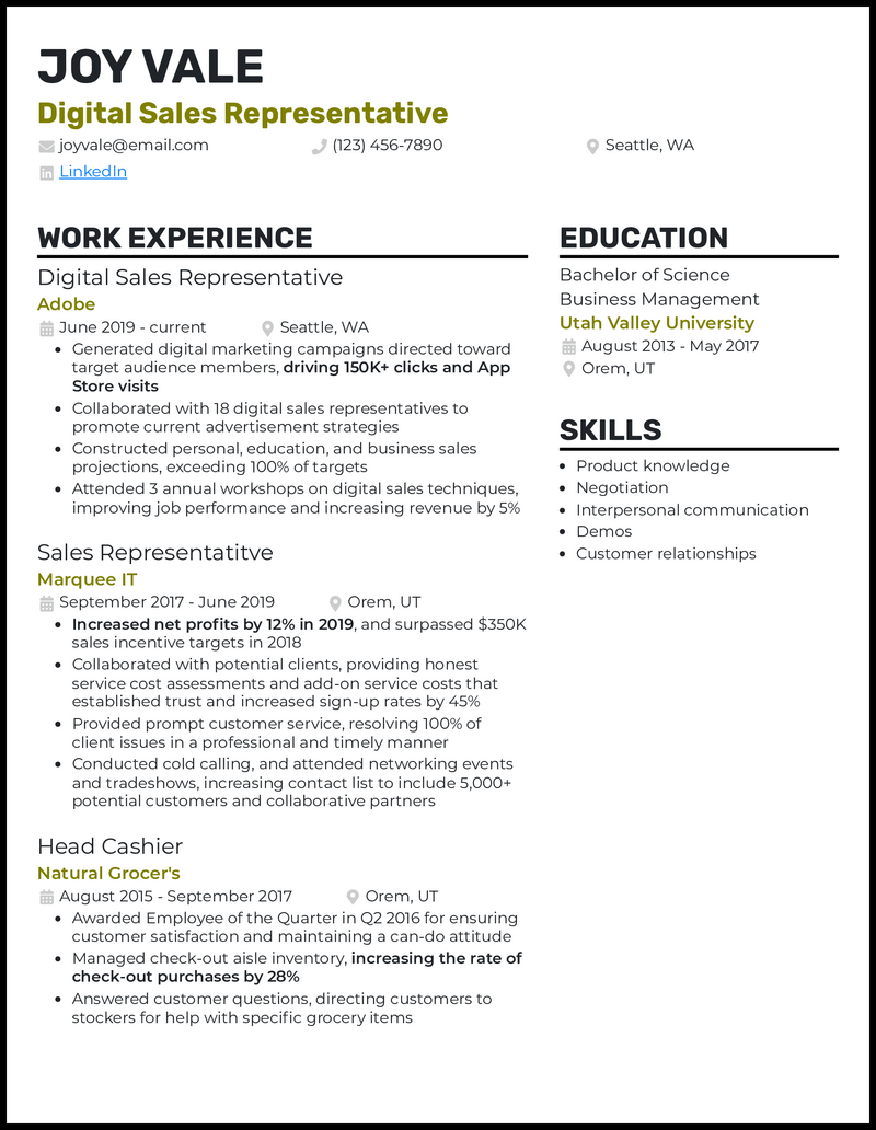3 Digital Sales Resume Examples Winning the Job in 2024