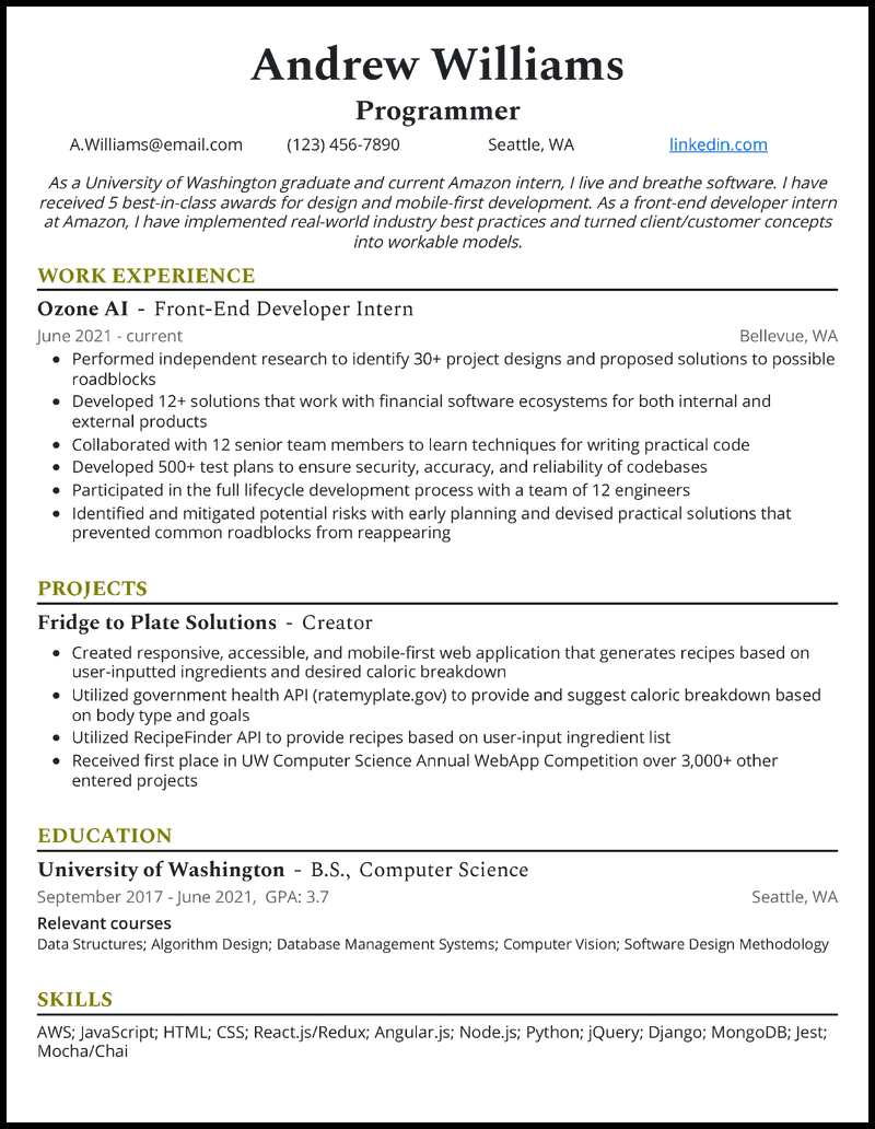 13 Programmer Resume Examples for 2025