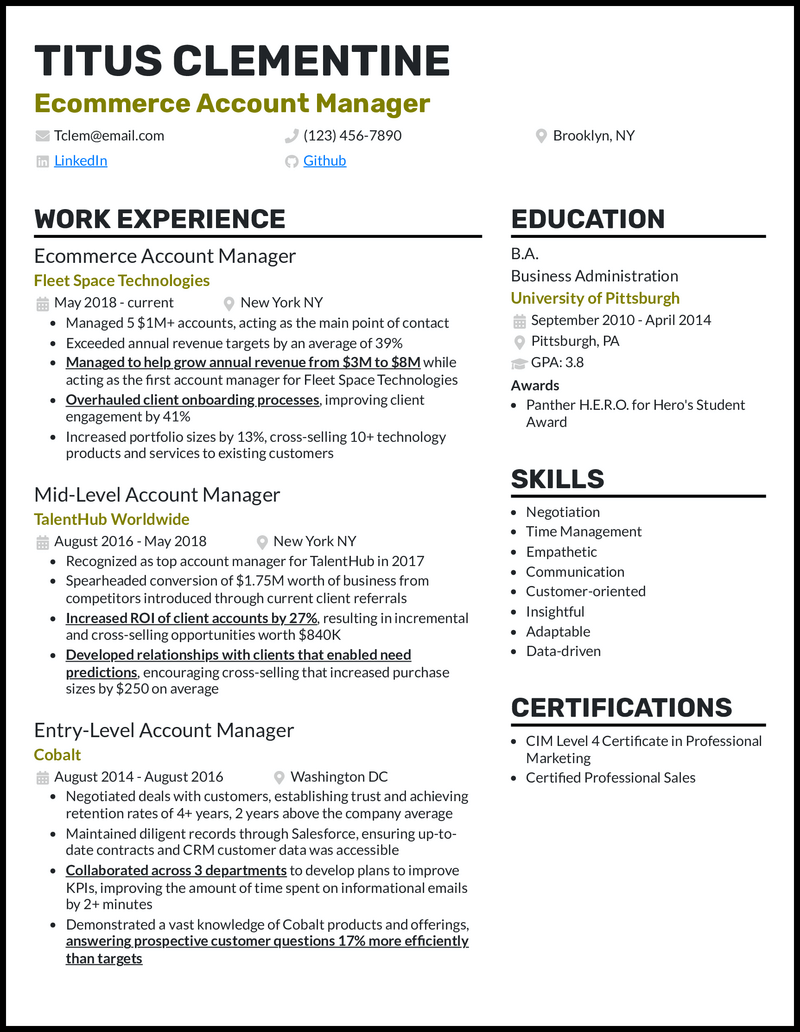 3 E-Commerce Account Manager Resume Examples & Templates [Edit Free]