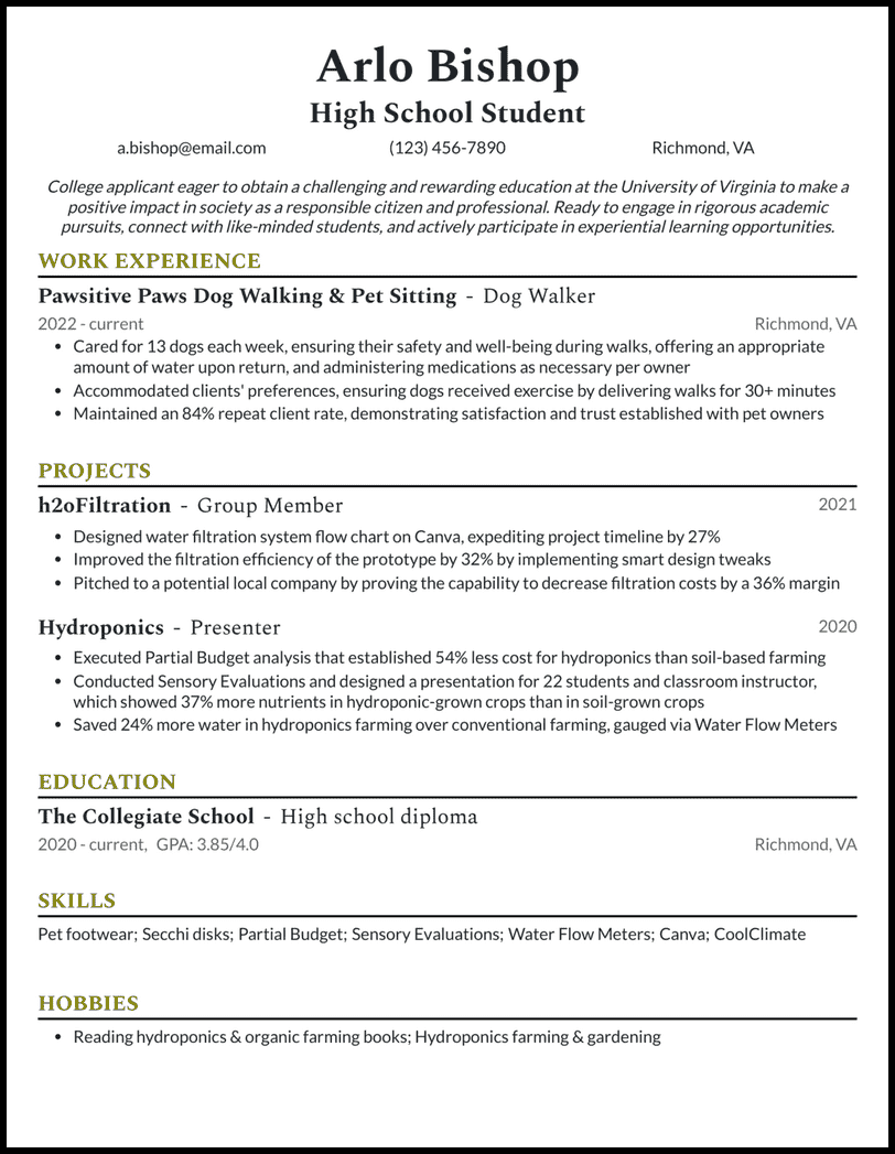 22 High School Resume Examples & Templates to Stand Out