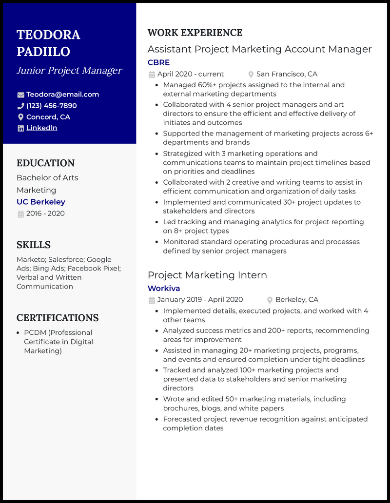 5 Junior Project Manager Resume Examples Best for 2025