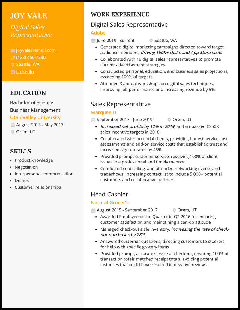 3 Digital Sales Resume Examples Winning the Job in 2024