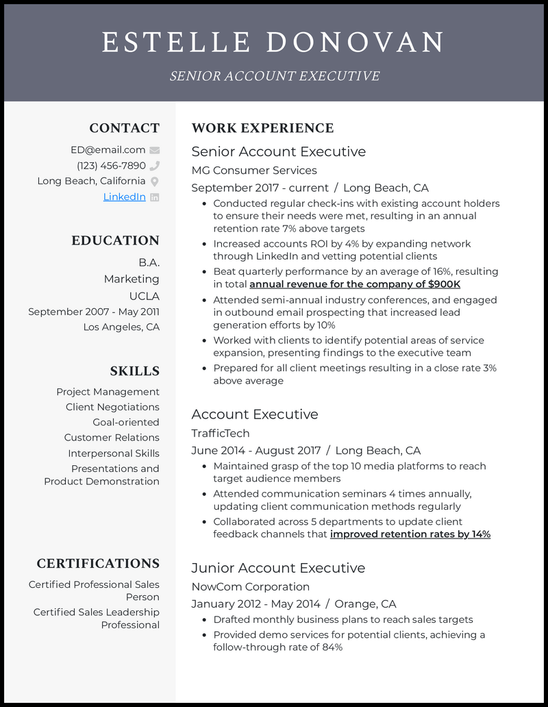 3 Senior Account Executive Resume Examples for 2025