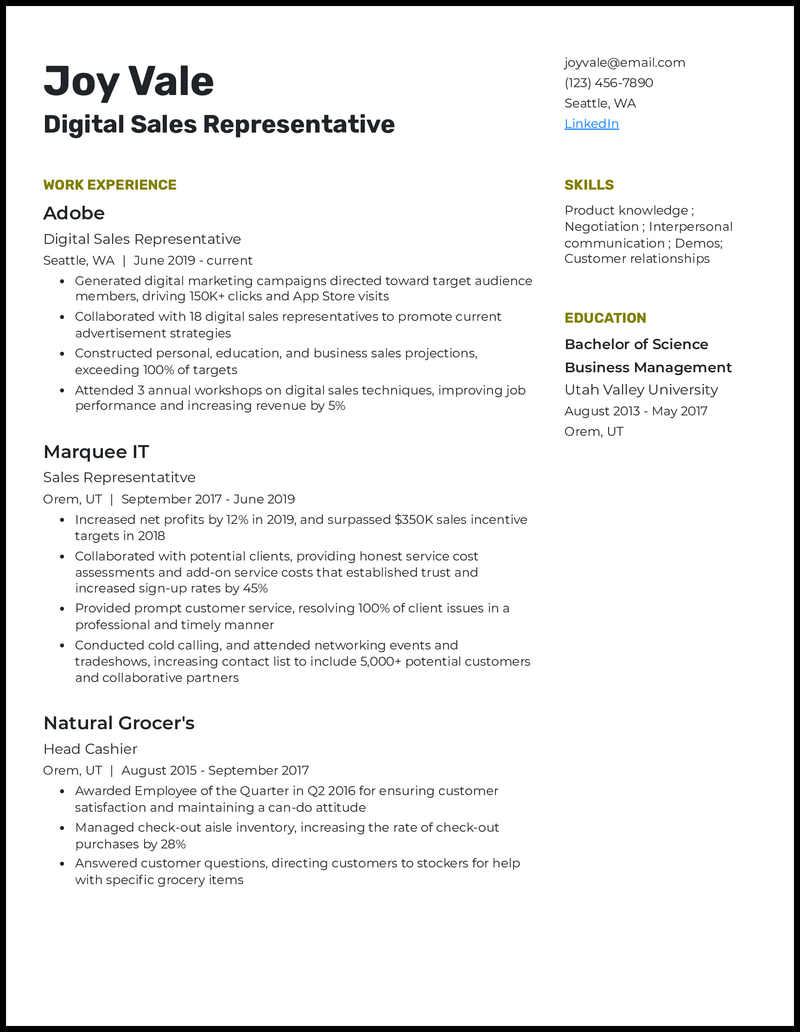 3 Digital Sales Resume Examples Winning the Job in 2024
