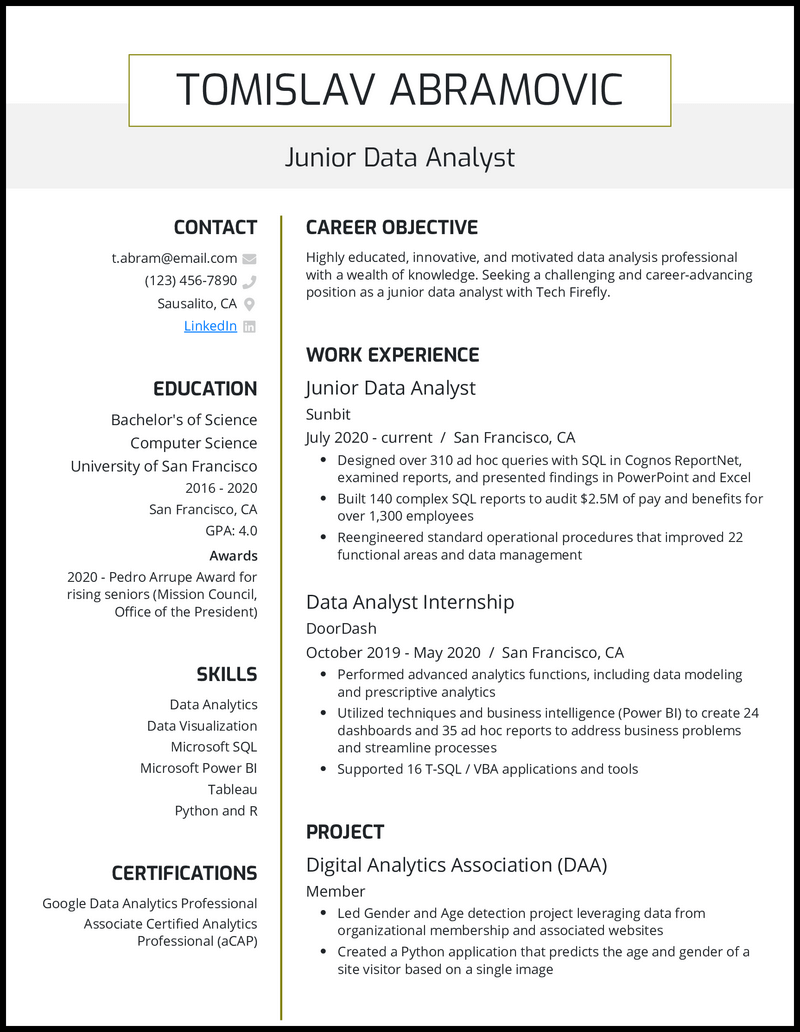 5 Junior Data Analyst Resume Examples for 2024