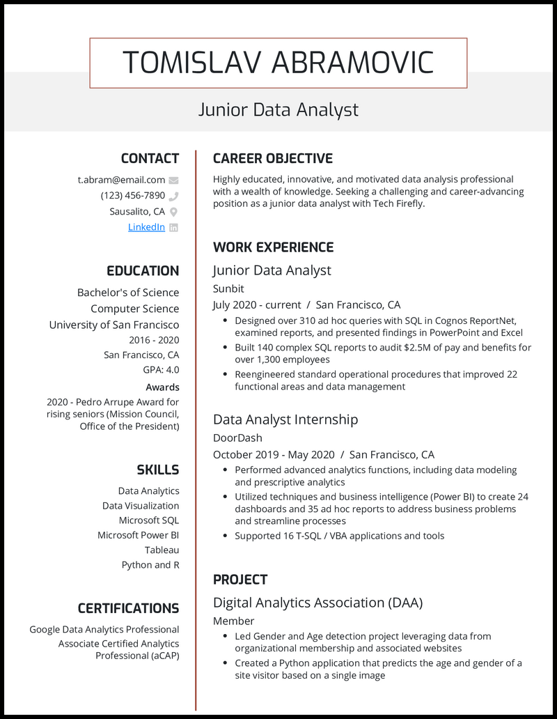 5 Junior Data Analyst Resume Examples for 2024