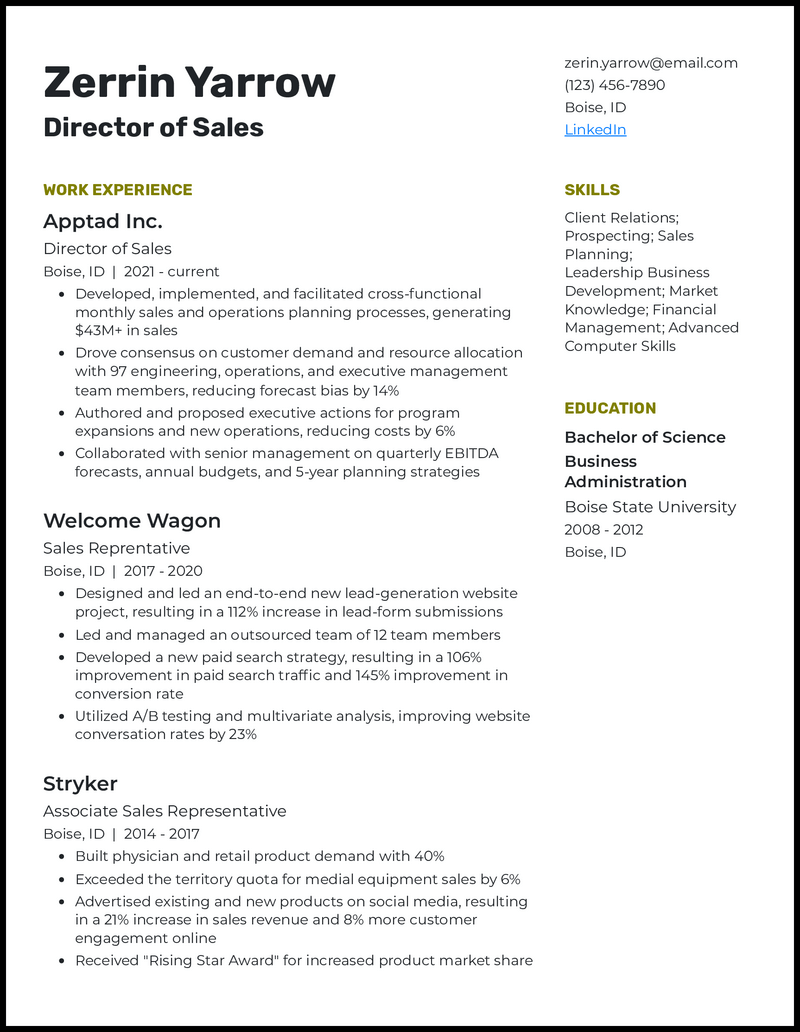 3 Real Sales Director Resume Examples That Worked in 2025