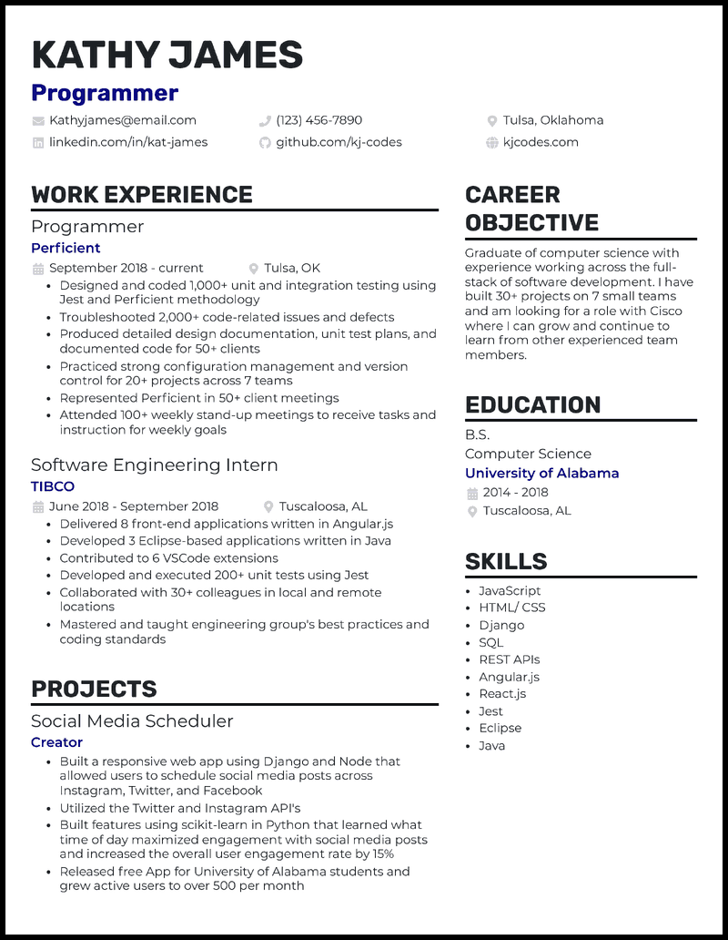 13 Programmer Resume Examples for 2025