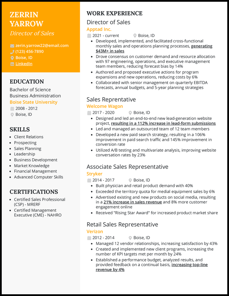 3 Real Sales Director Resume Examples That Worked in 2025